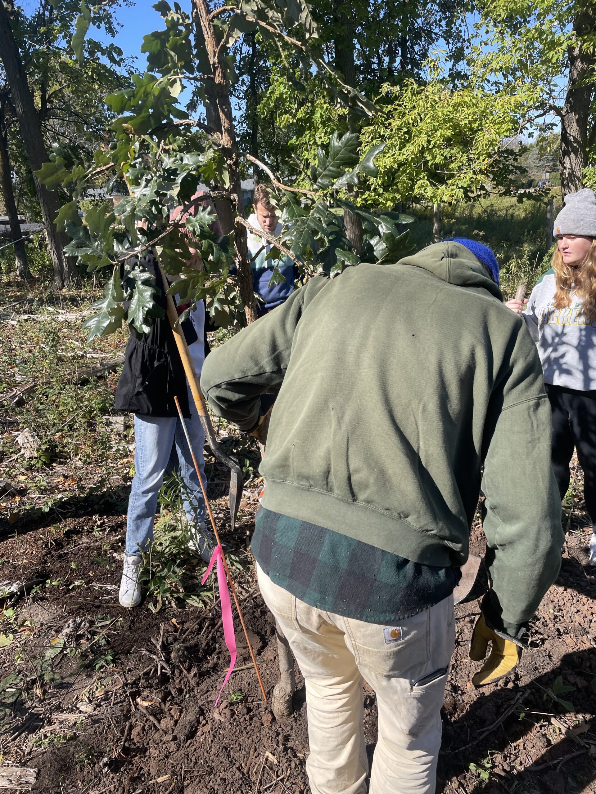 Driessen Fellow Organizes Tree Planting – CFACT